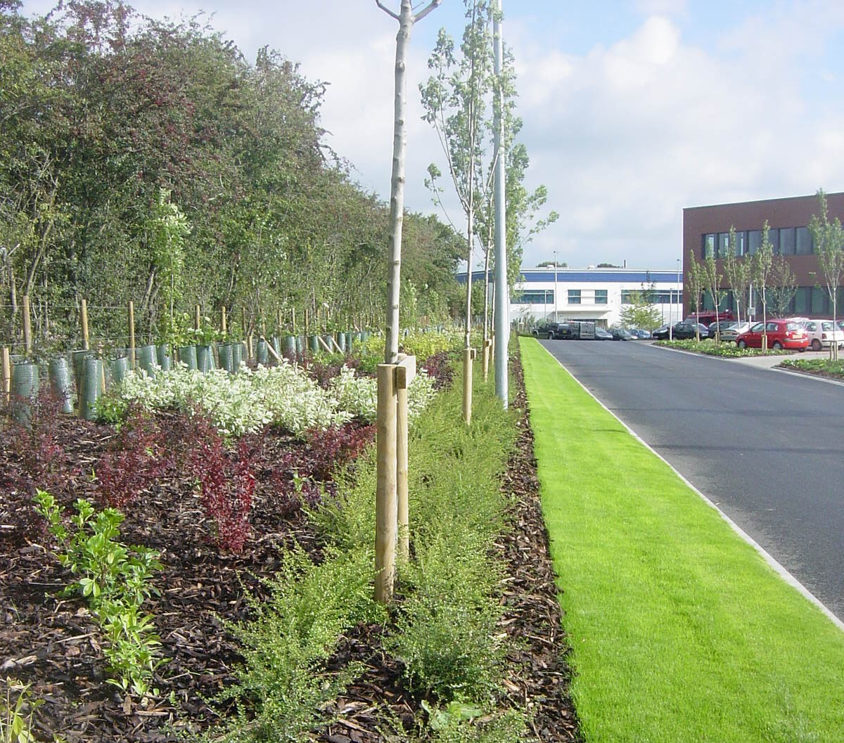 Business Parks – Illman Young Landscape Design