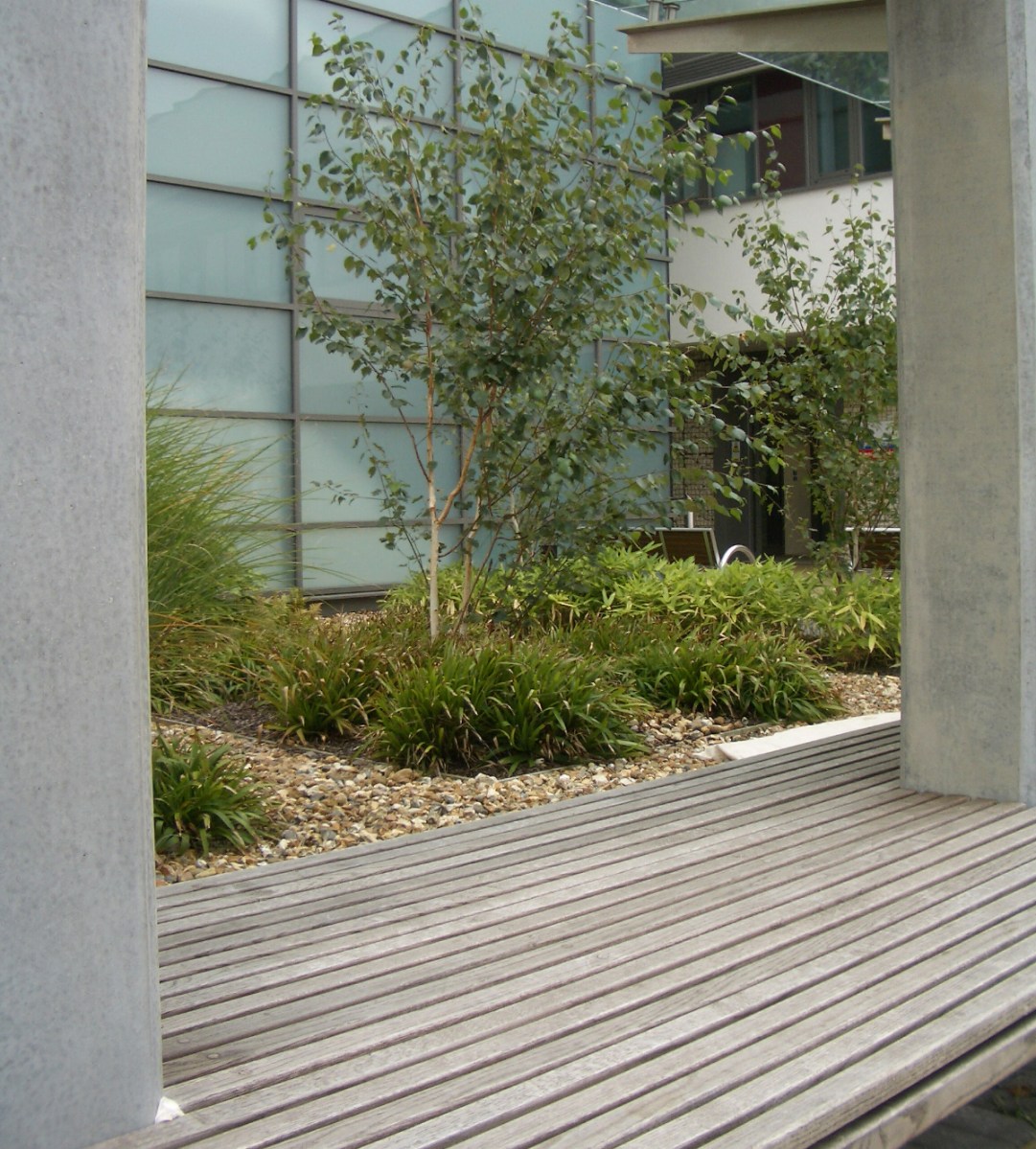 Lymington New Forest Hospital – Illman Young Landscape Design