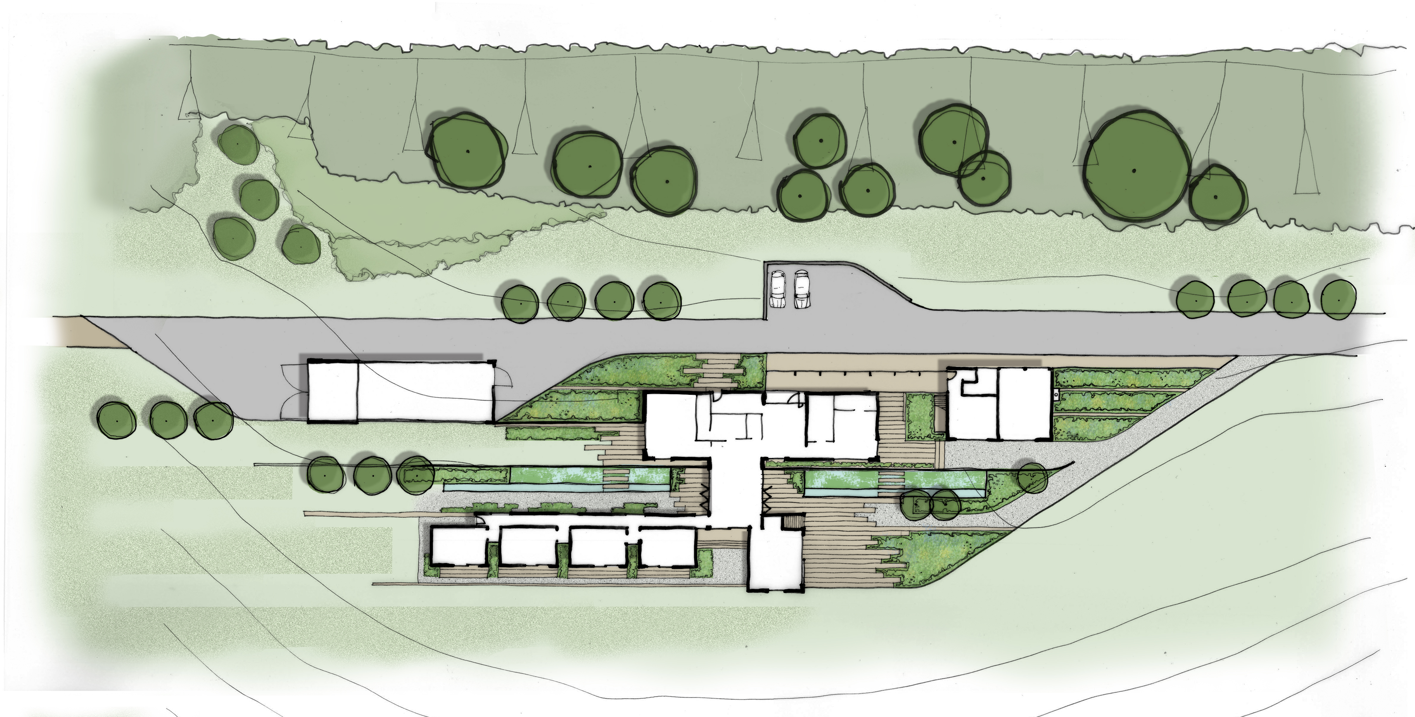 Paragraph 80 – Illman Young Landscape Design
